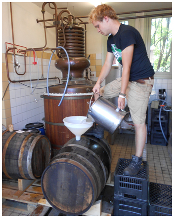 nieuwe diep | nieuws